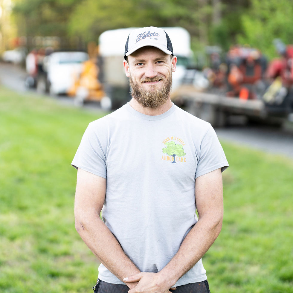 About | JM Arbor Care