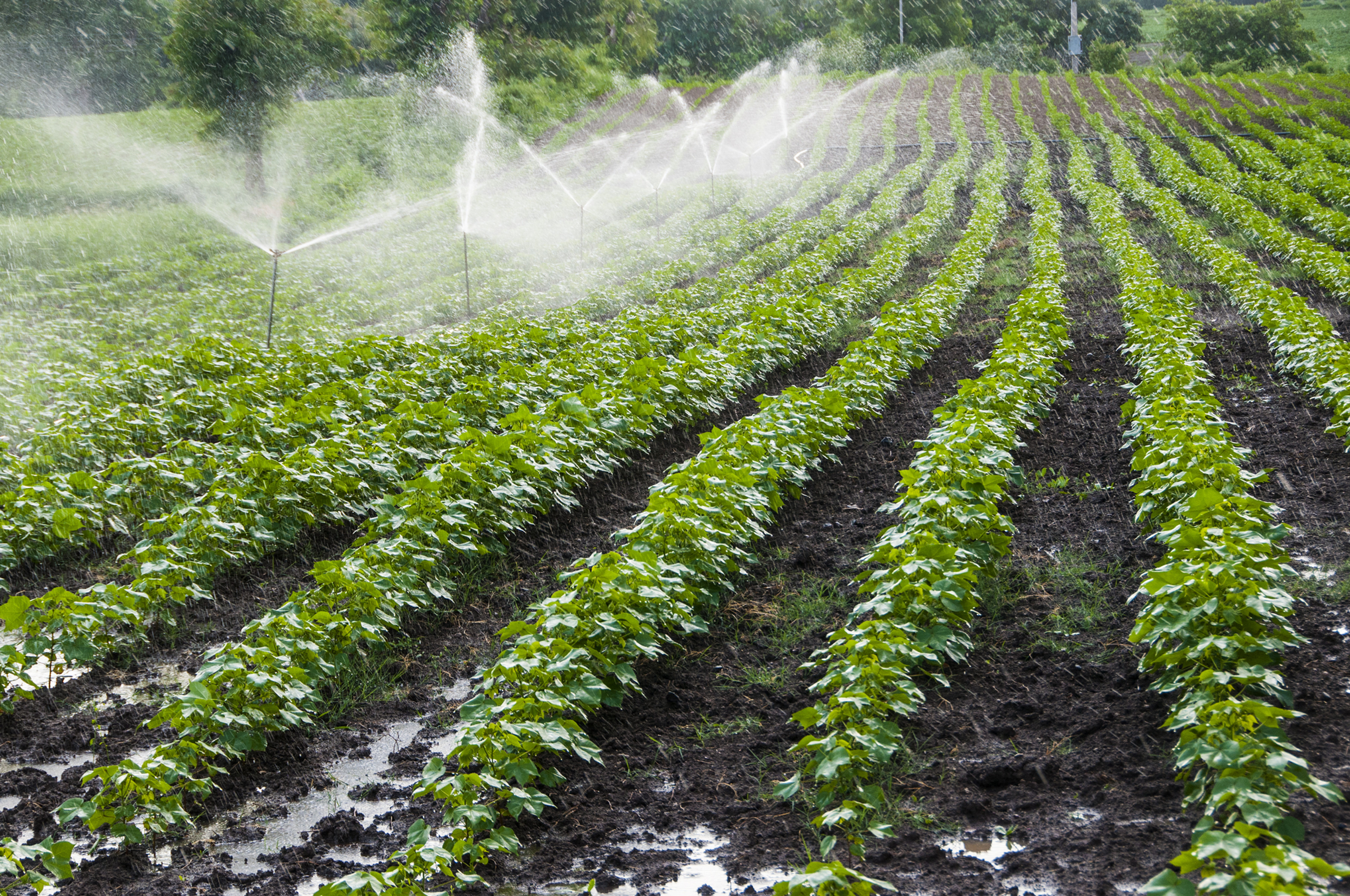 finolex drip irrigation contact number