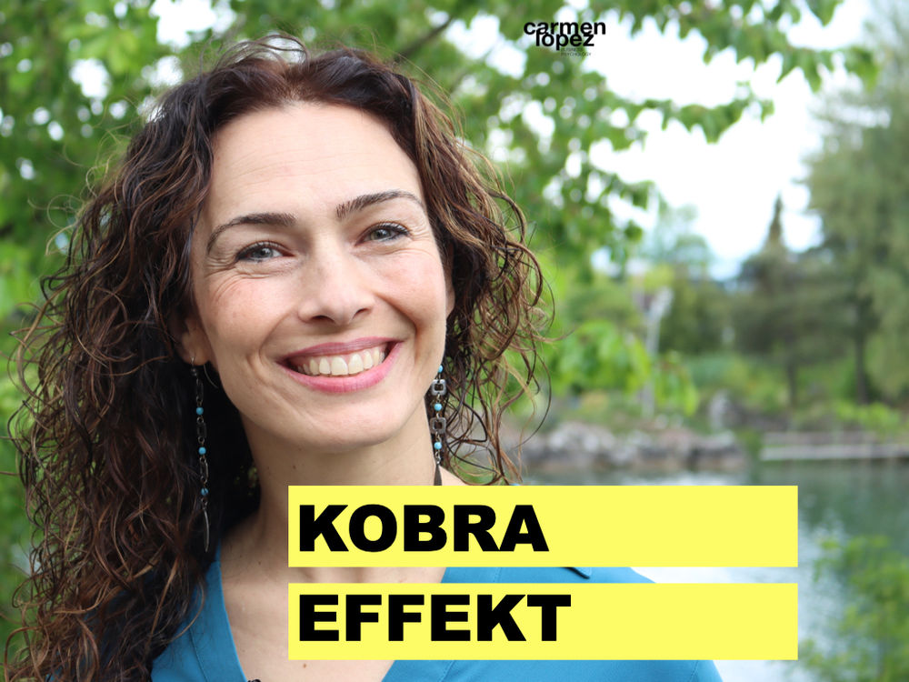 Kobra-Effekt