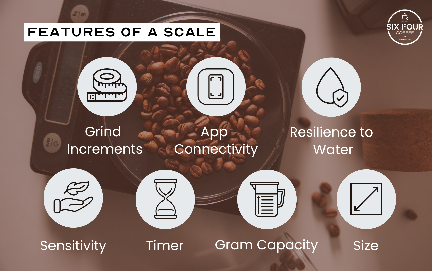 A Beginner’s Guide to Coffee Scales