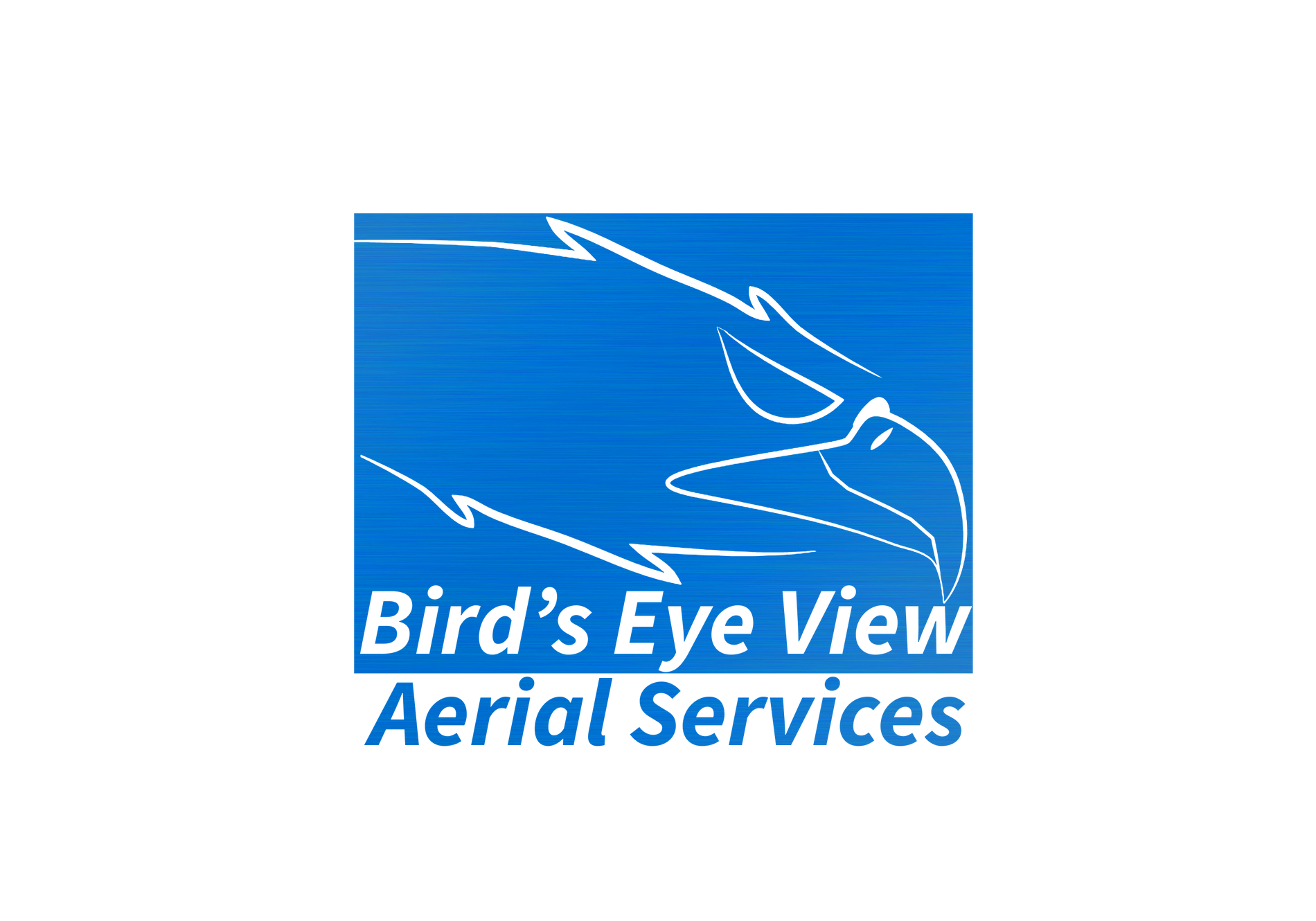 Bird's Eye View, LLC