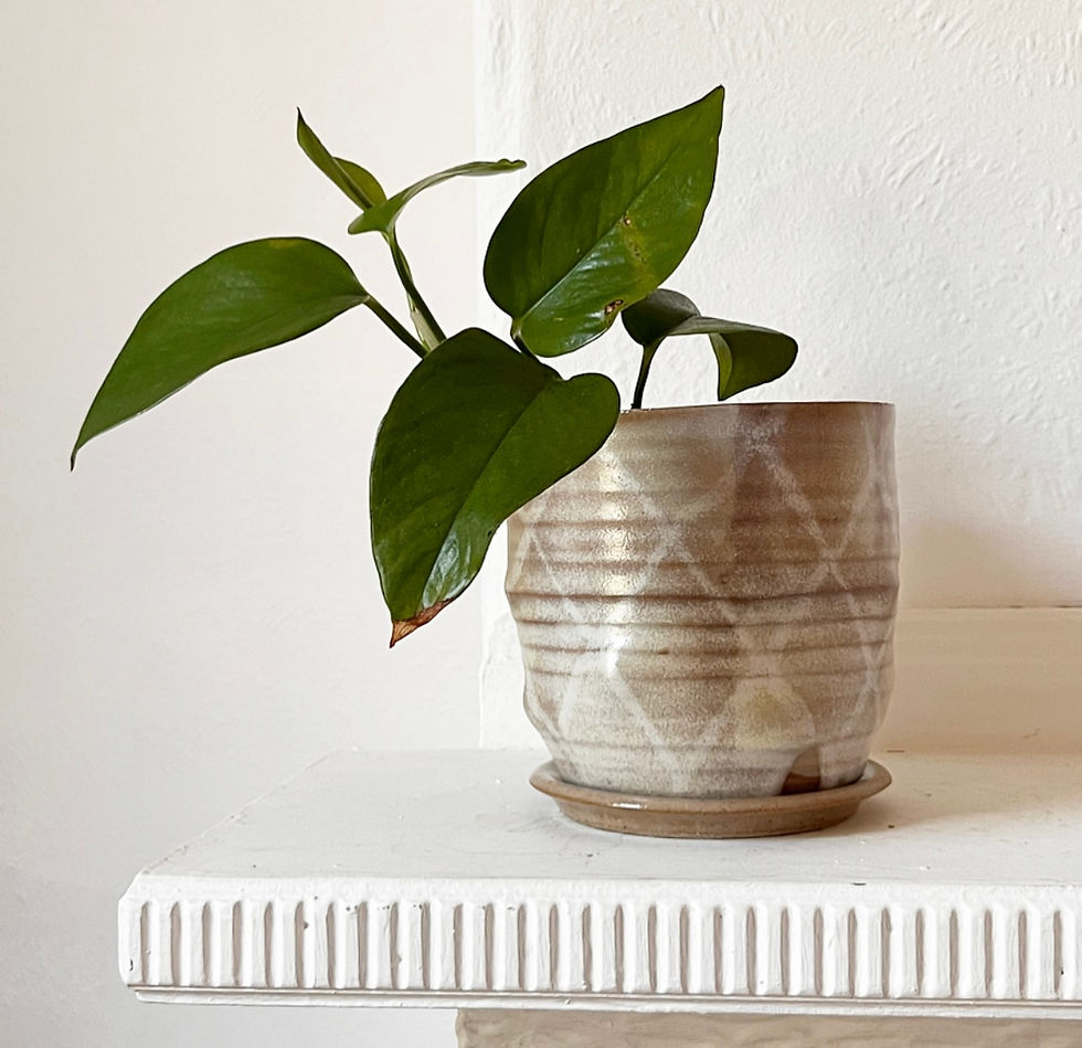 'Large Planter #1', Jade Thorsen | Nabe Studios