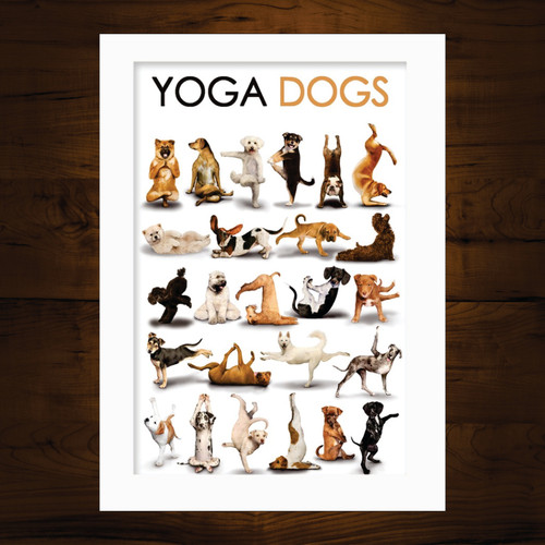 POSTER YOGA DOGS | tiposequadros