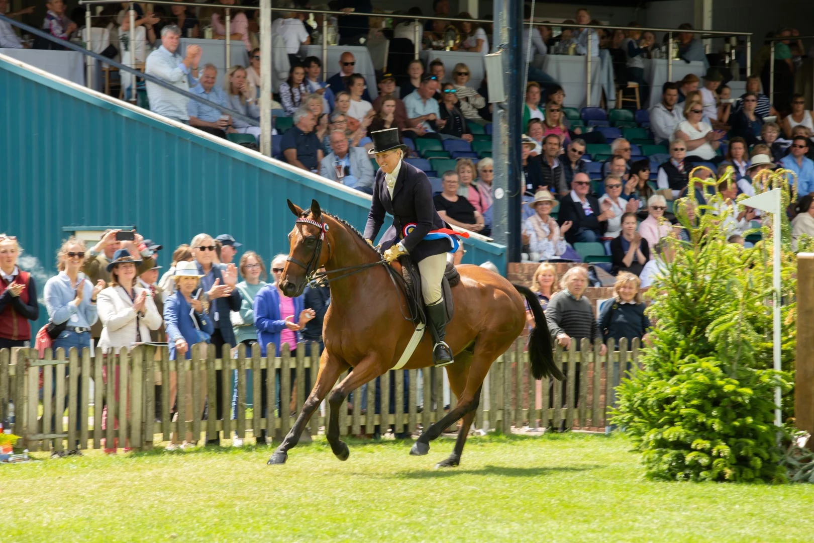 MEET THE HORSES | JAS