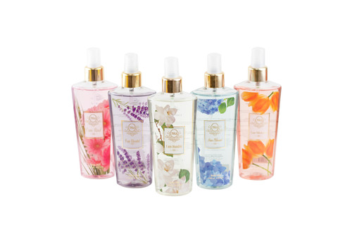 Eau de Parfum | Sanvec
