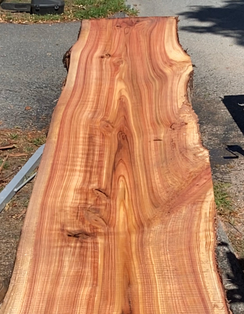 Redwood | Rustic Harbors