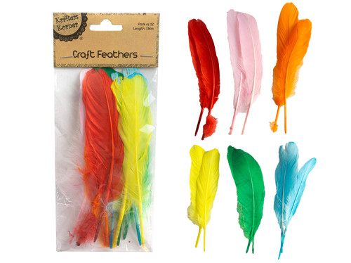 KK Mix Coloured Craft Feathers | Artandcraftworld