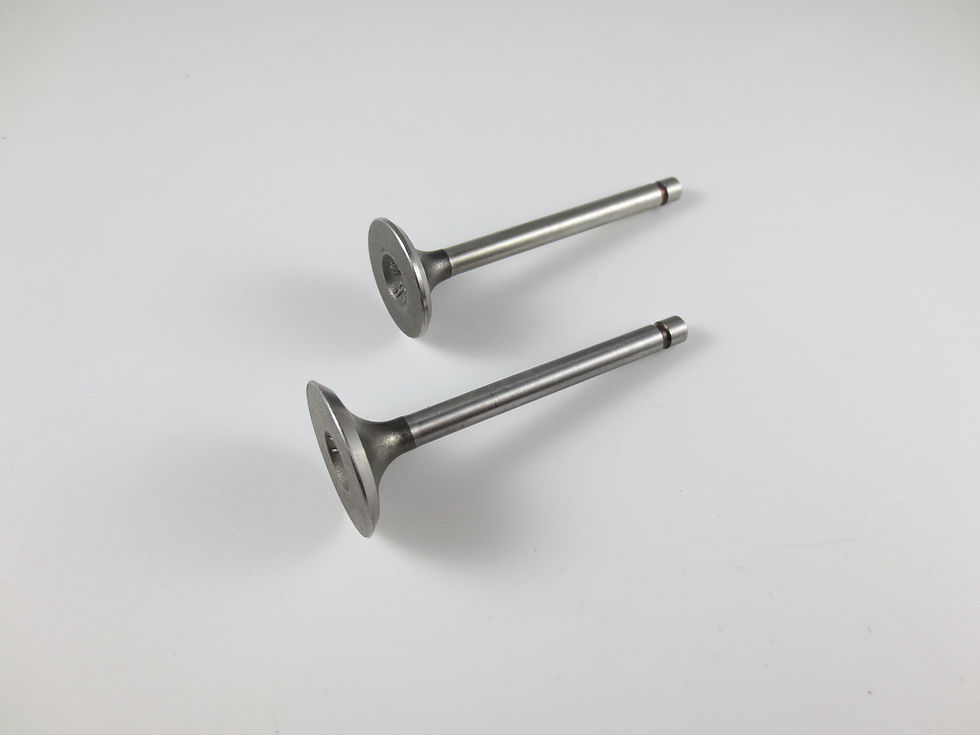 Engine Valves | shindypro