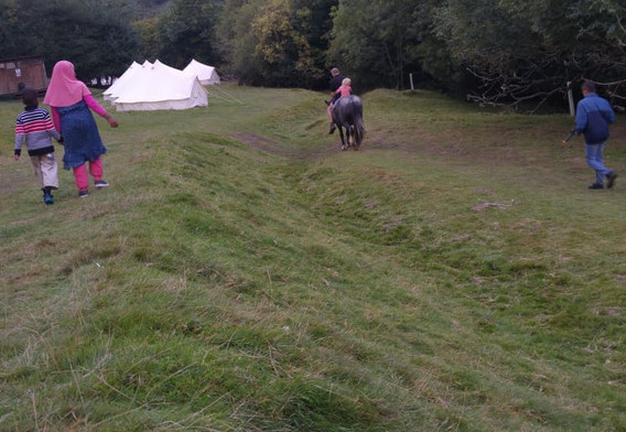 Services and Projects | Dalmar