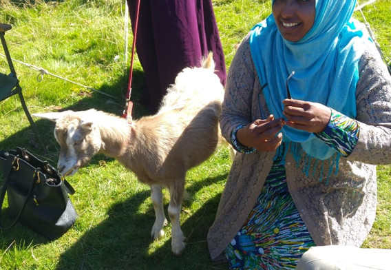 Services and Projects | Dalmar