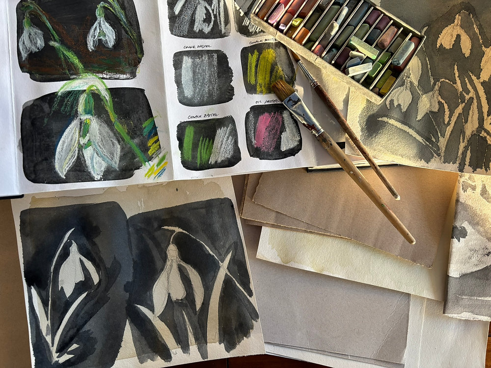 How to Draw Snowdrops