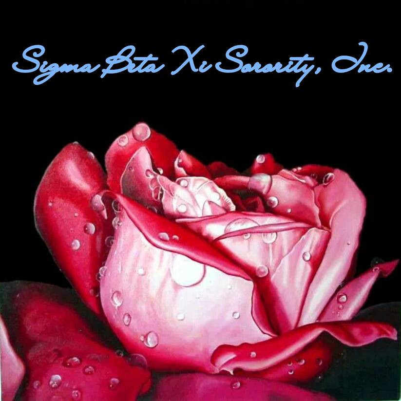sigma-xi-chapter-of-sigma-beta-xi-sorority-inc-the-sisterhood