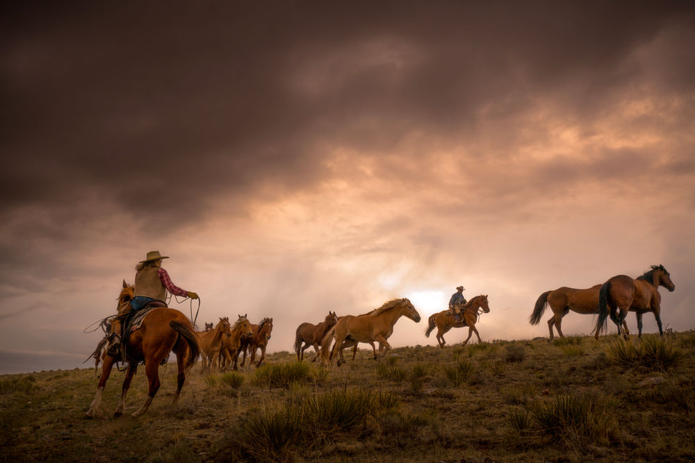 8 Tips to Improve Western and Horse Photography