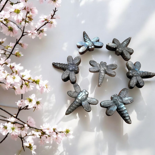Labradorite Dragonfly Carvings: Transform Your Spiritual Journey ...