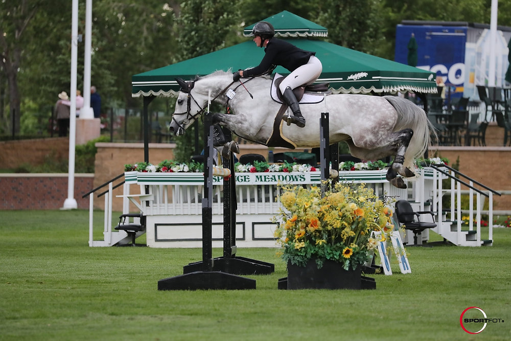 Hunter Holloway Stables Adds New Grand Prix Horses