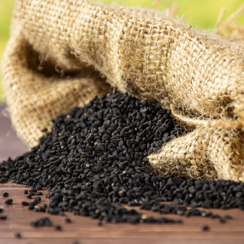 CharCoat™ Natural and Effective Seed Coating | Biochar-enhanced ...