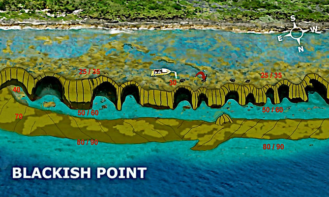 Utila Dive Sites | We=dive Utila