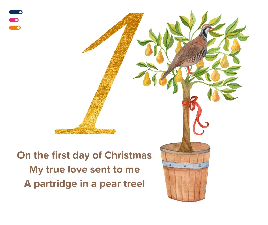 12 Days of Christmas Game!