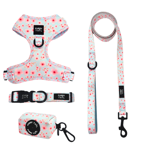 BERRYLICIOUS 4 PIECES BUNDLE | Furrytail