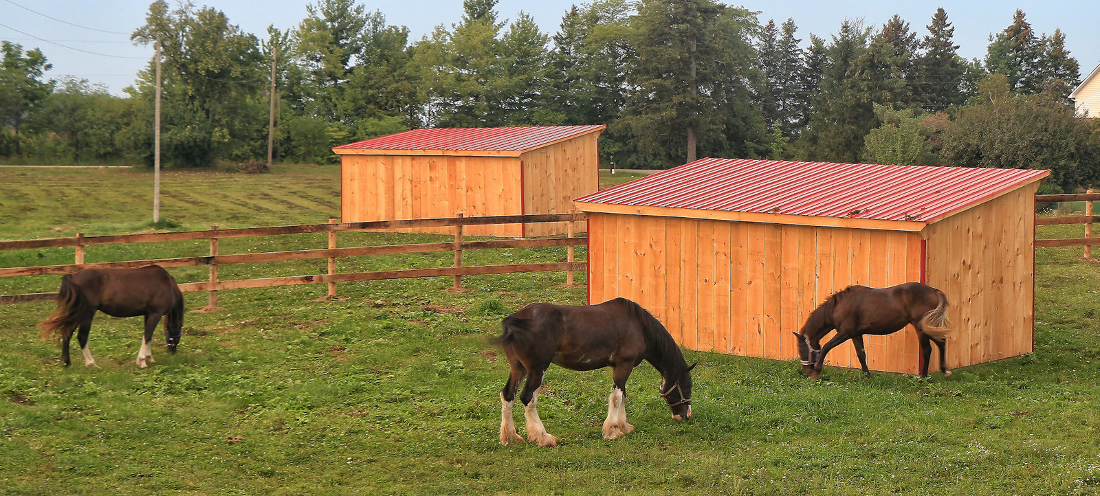 Fullscreen Page | Triple C Farm