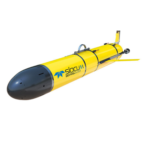 TELEDYNE WEBB RESEARCH SLOCUM SENTINEL GLIDER | Seawing
