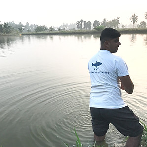 Careers | Fish Welfare Initiative
