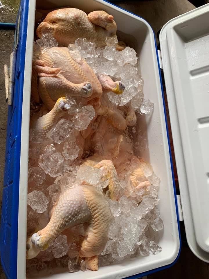 Custom Butchering | Bull Family Farm