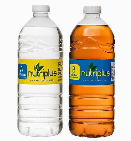 Nutriplus | The Greenery