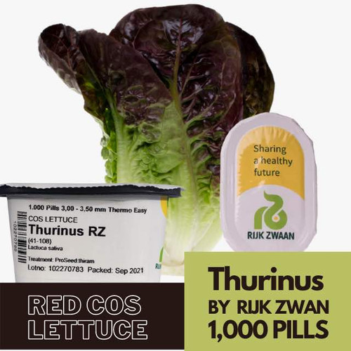 Thurinus | Red Romaine Lettuce Seeds | By Rijk Zwaan | Pelletized Seeds ...