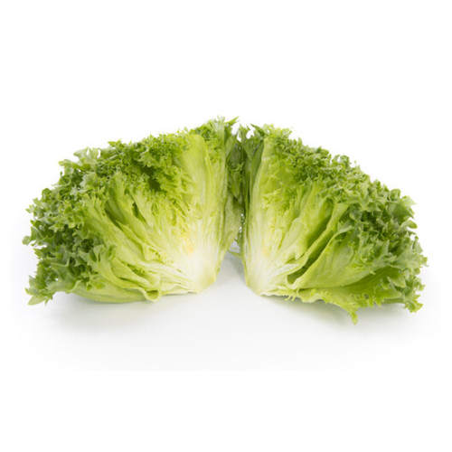 Lalique Crystal Lettuce Seeds | 1000 Pills | Rijk Zwaan | The Greenery