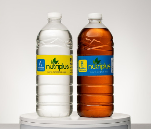 NutriPlus Crop Nutrient Solution for Lettuce and Leafy Greens | The ...