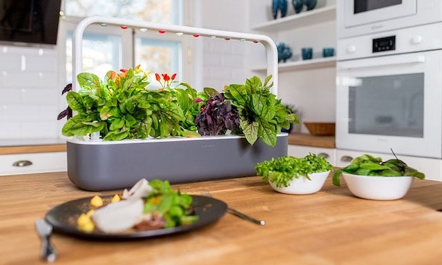 The Best High-tech Gardening Tools of 2023