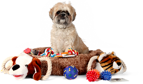 All Products | Tobby Pets