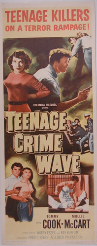 Original, Vintage 1955 US Insert film poster for Teenage Crime Wave | slightlyoutoffocus