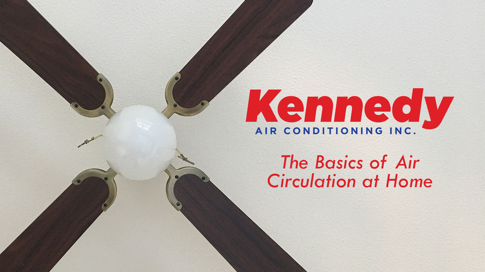 The Basics of Air Circulation in Your Home