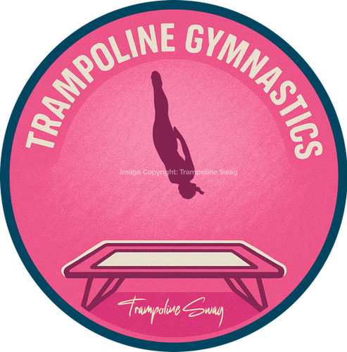 Pink Trampoline Gymnastics Sticker | Trampoline Swag