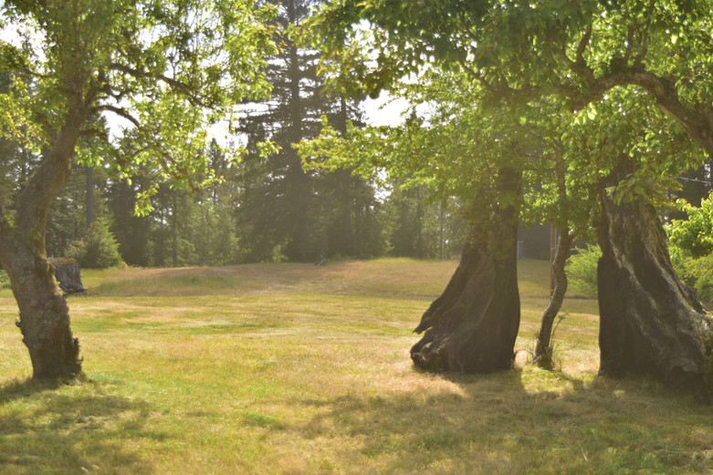 Home | Antioch Ranch