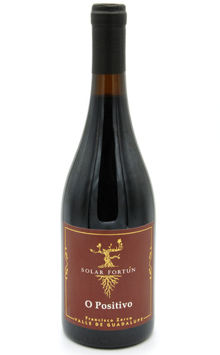 2022 O Positivo - Solar Fortún | Patrick Neri Selections