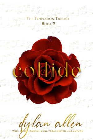 Home | Dylan Allen Books