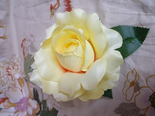 Primavera Rose | ohlalapinuphair