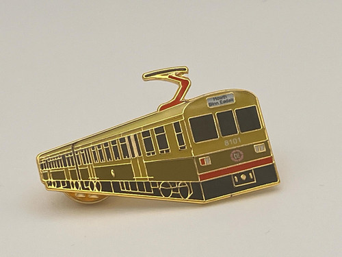 8100 Class DART Train Badge | Táilte Tours