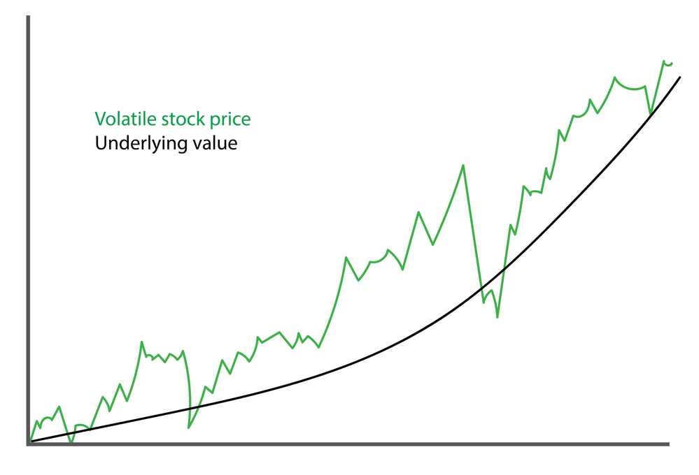 Risk vs Volatility