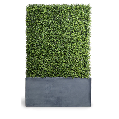 Planter Boxwood Hedge | beachview1