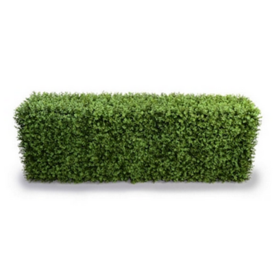 Rectangular Boxwood Hedge | beachview1