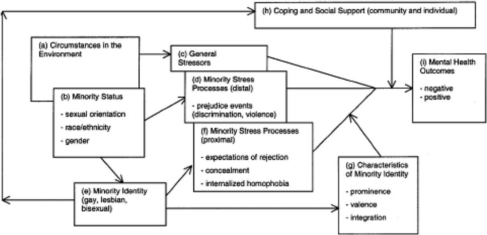 Diagram Of The Minority Stress Model