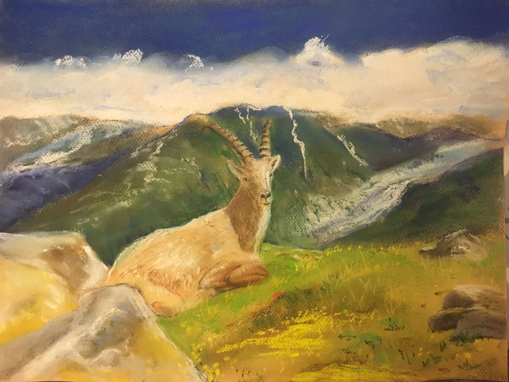 Ibex | Art with Tricia