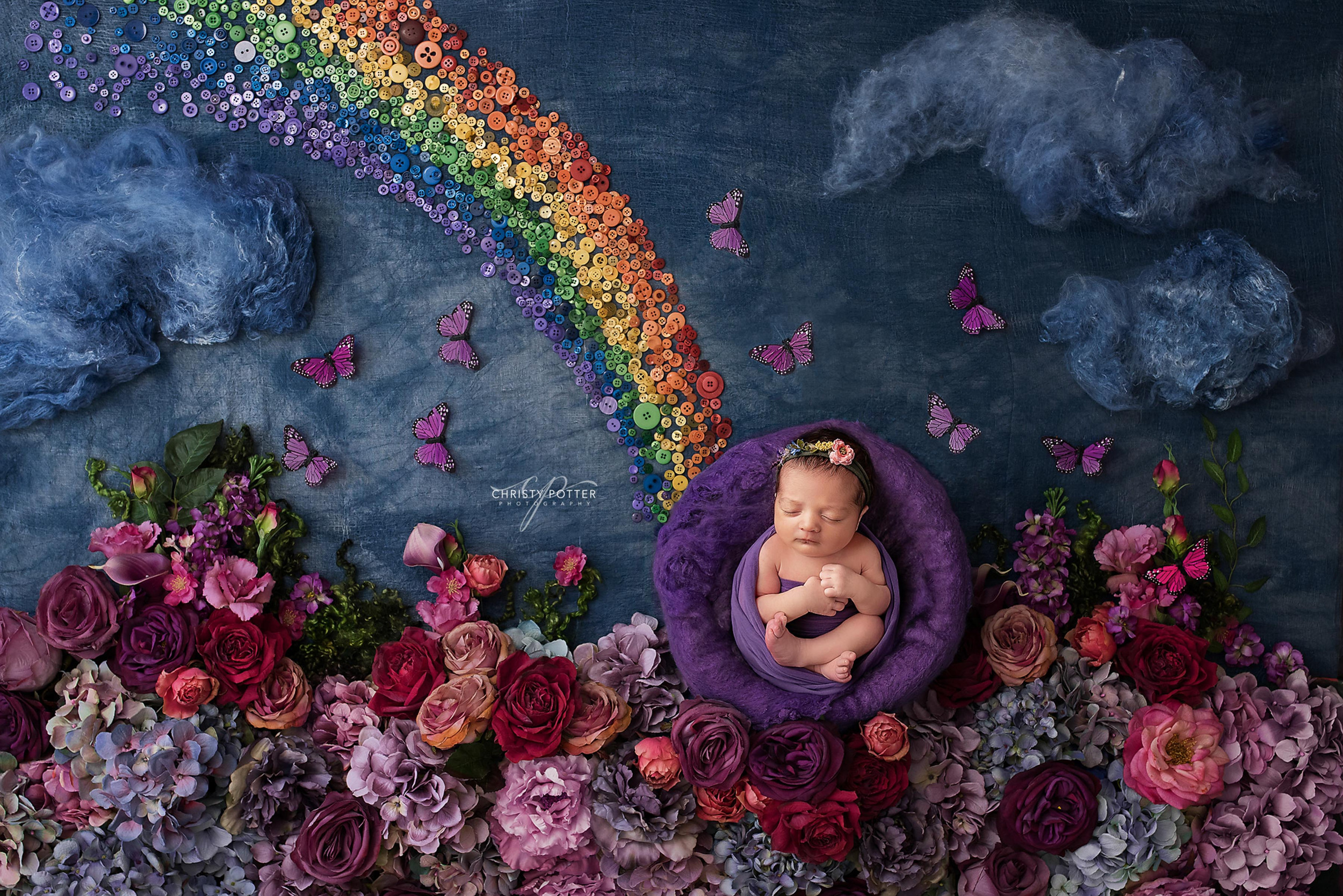 Christy Potter Photography | Lexington, Kentucky Newborn Baby Child ...