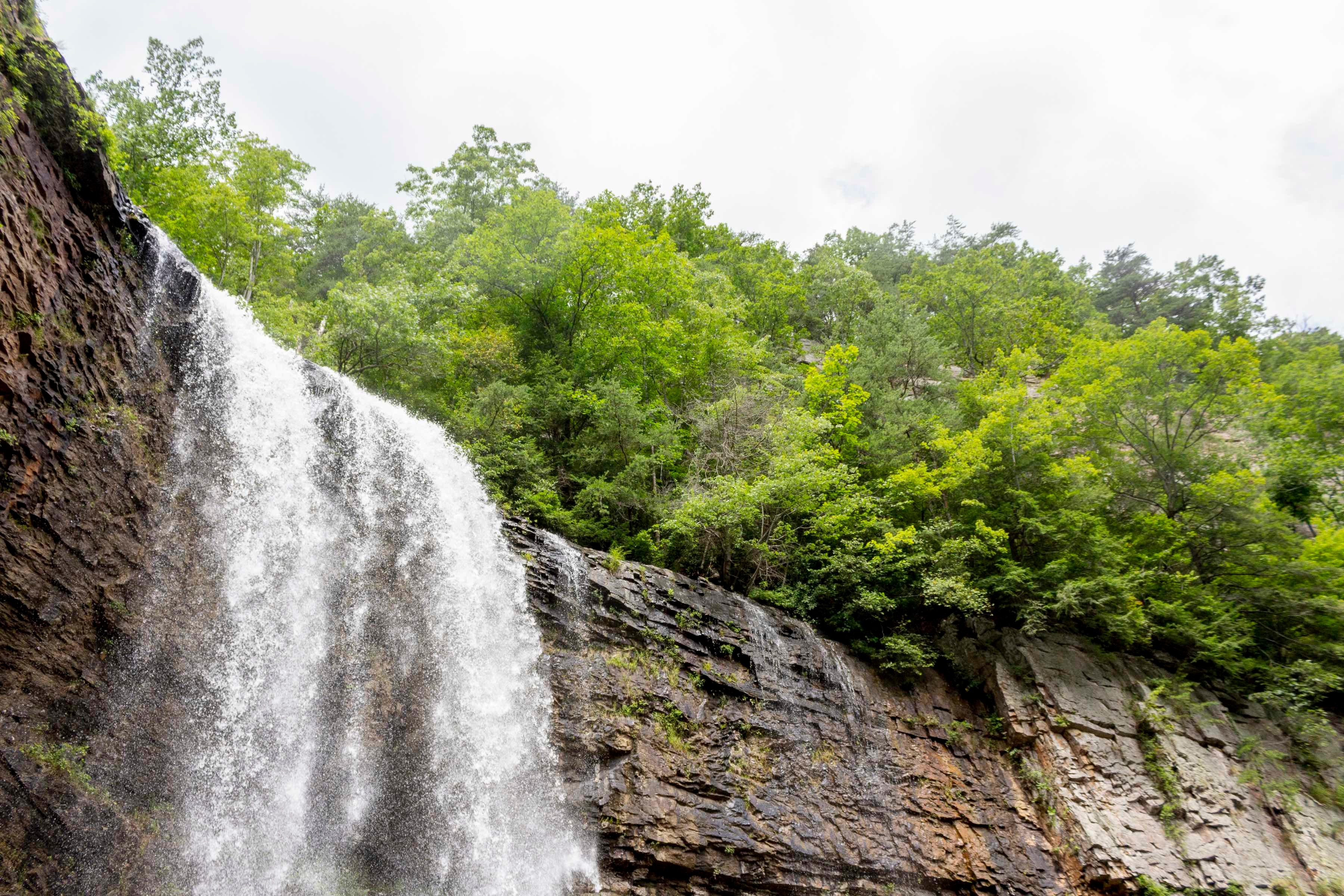 Lula Lake Land Trust
