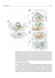 Genetic Testing - Cure VCP Disease