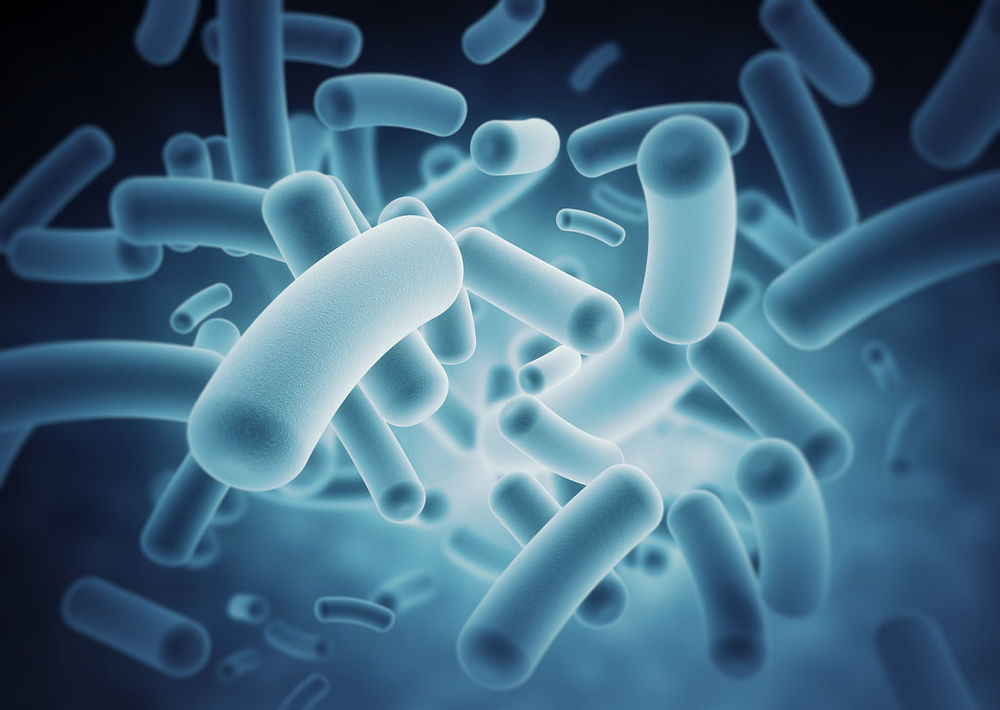 Applications of the microbiome in medicine: A quick summary
